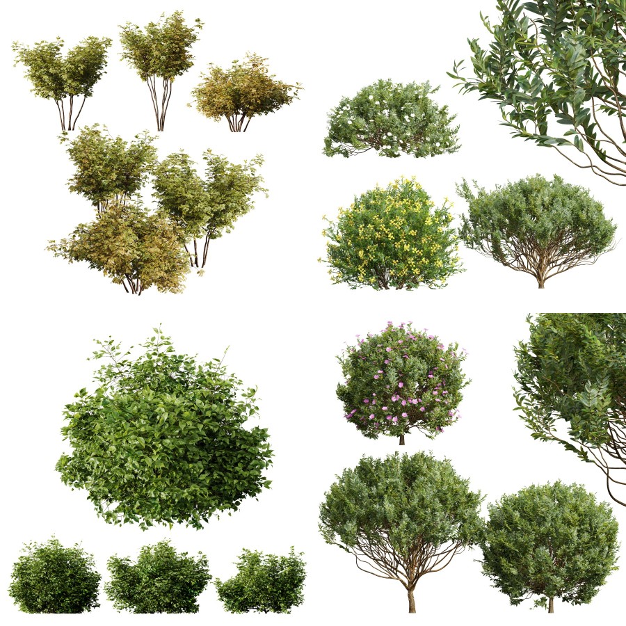 Hq Plants Bush Small - 3D Model for VRay, Corona