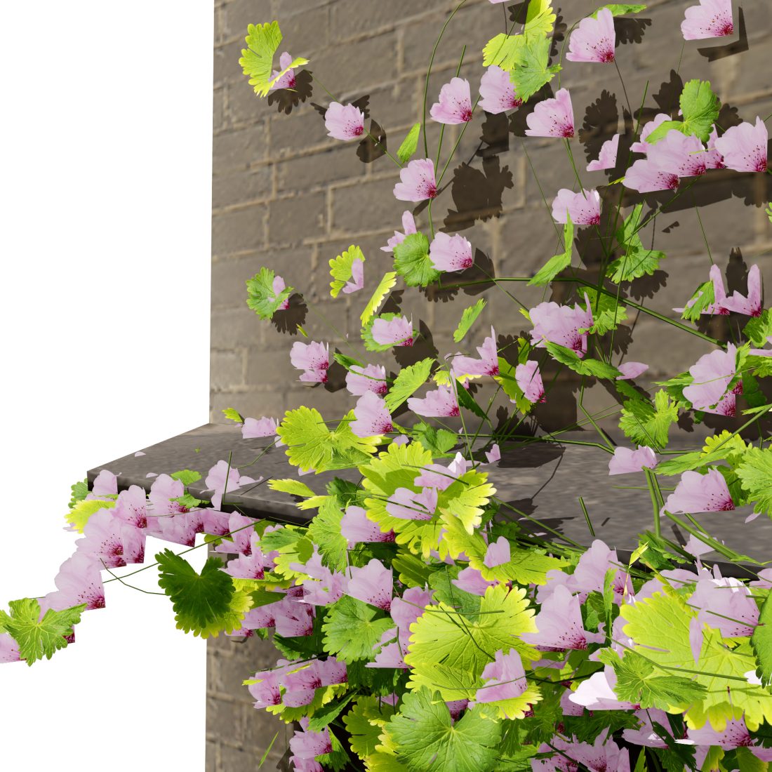 Kenilworth Ivy Wall Plant 3d Model 3D Model for VRay, Corona | CGMood