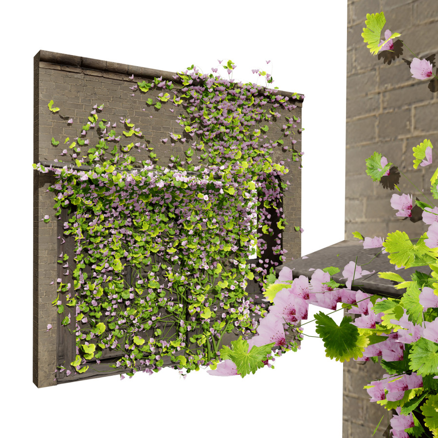 Kenilworth Ivy Wall Plant 3d Model - 3D Model for VRay, Corona