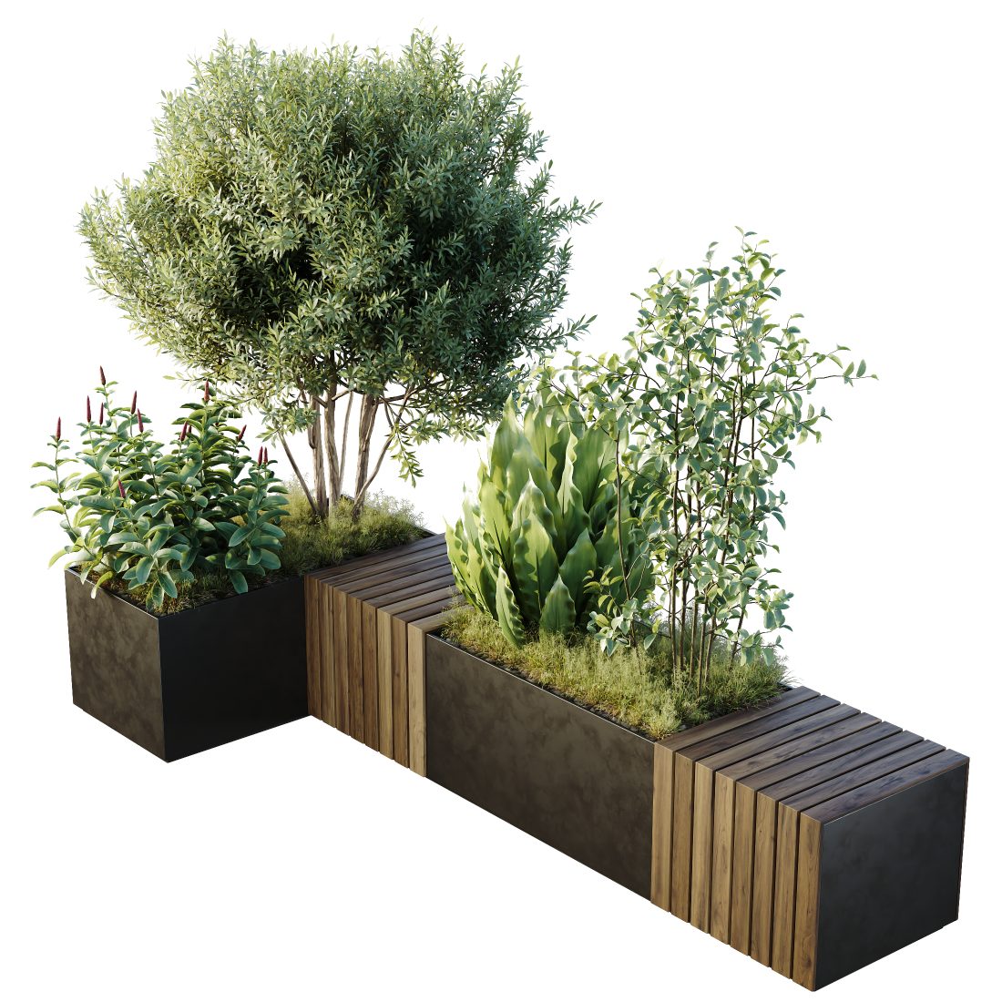 Outdoor Plant Wilsonii Chemlali Olive Bench Set011 - 3D Model for VRay ...