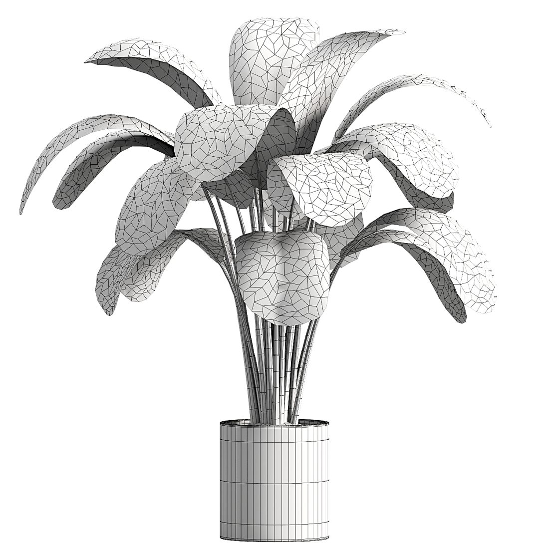 Indoor Plant 01 - 3D Model for Corona