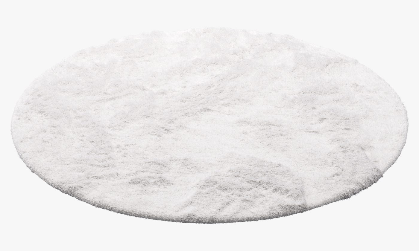 Benuta Dave Round Fur Rug (3 Colors) 3D Model for Corona | CGMood