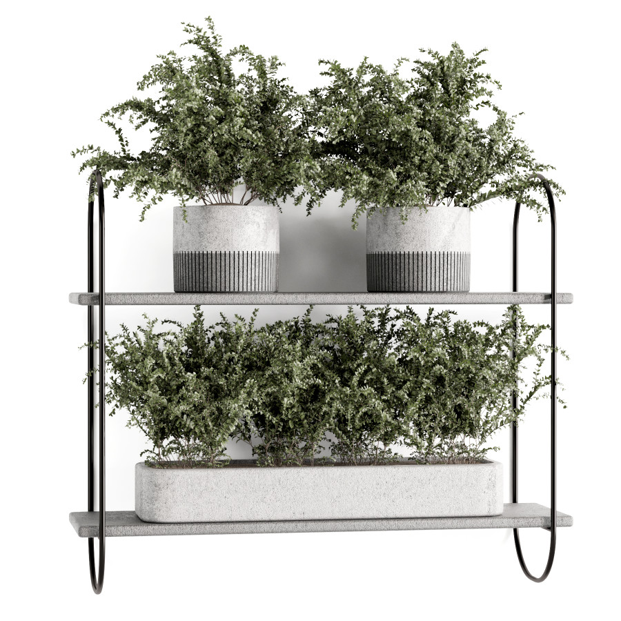 Indoorplants-plants In Shelf Set130 3D Model for VRay, Corona | CGMood