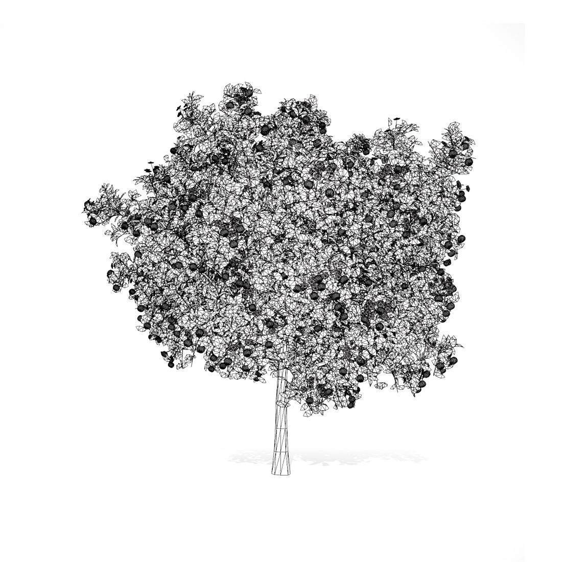Orange Trees 3d Model 3D Model for VRay, Corona | CGMood
