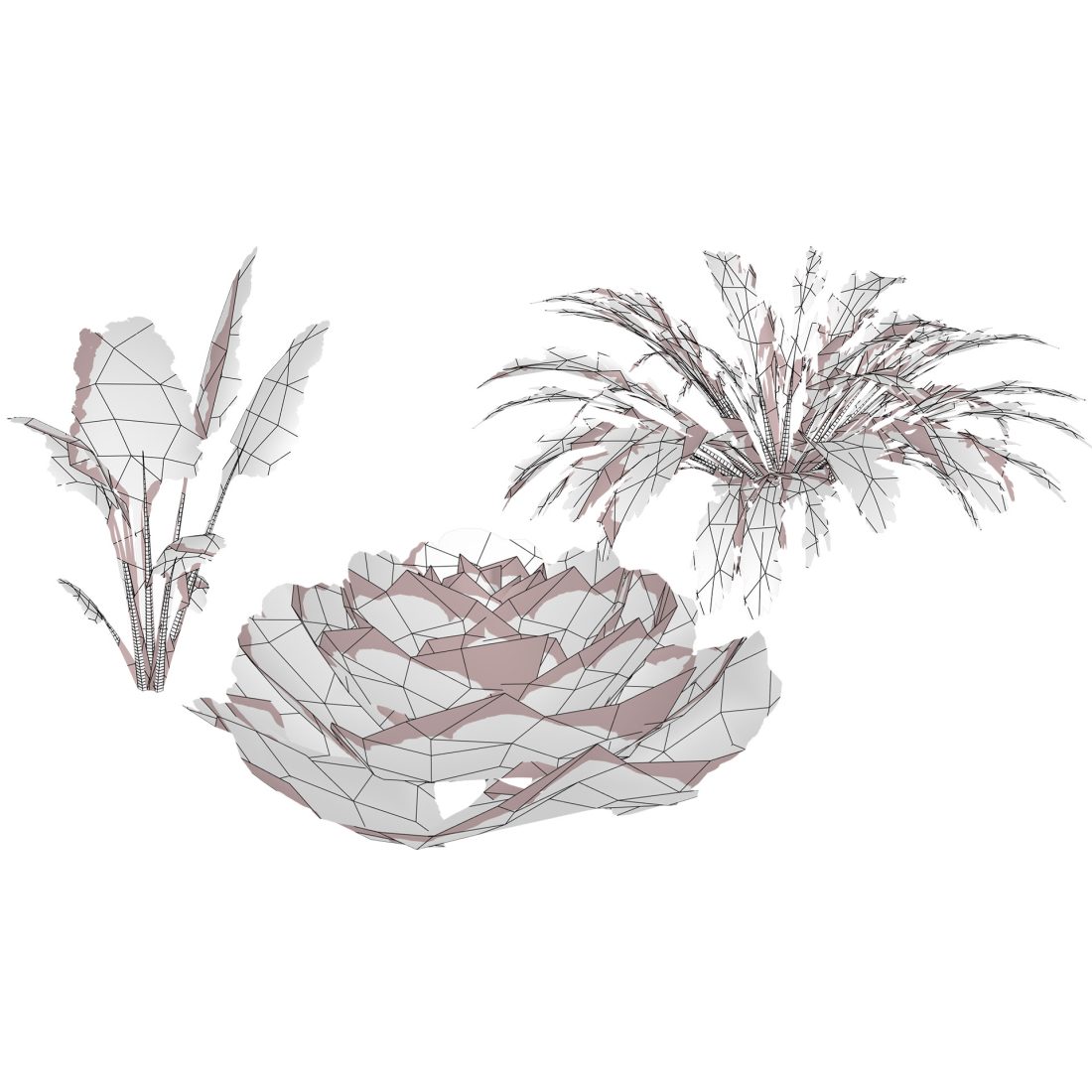 Leafy Green Plants 3d Model Collection - 3D Model for VRay, Corona