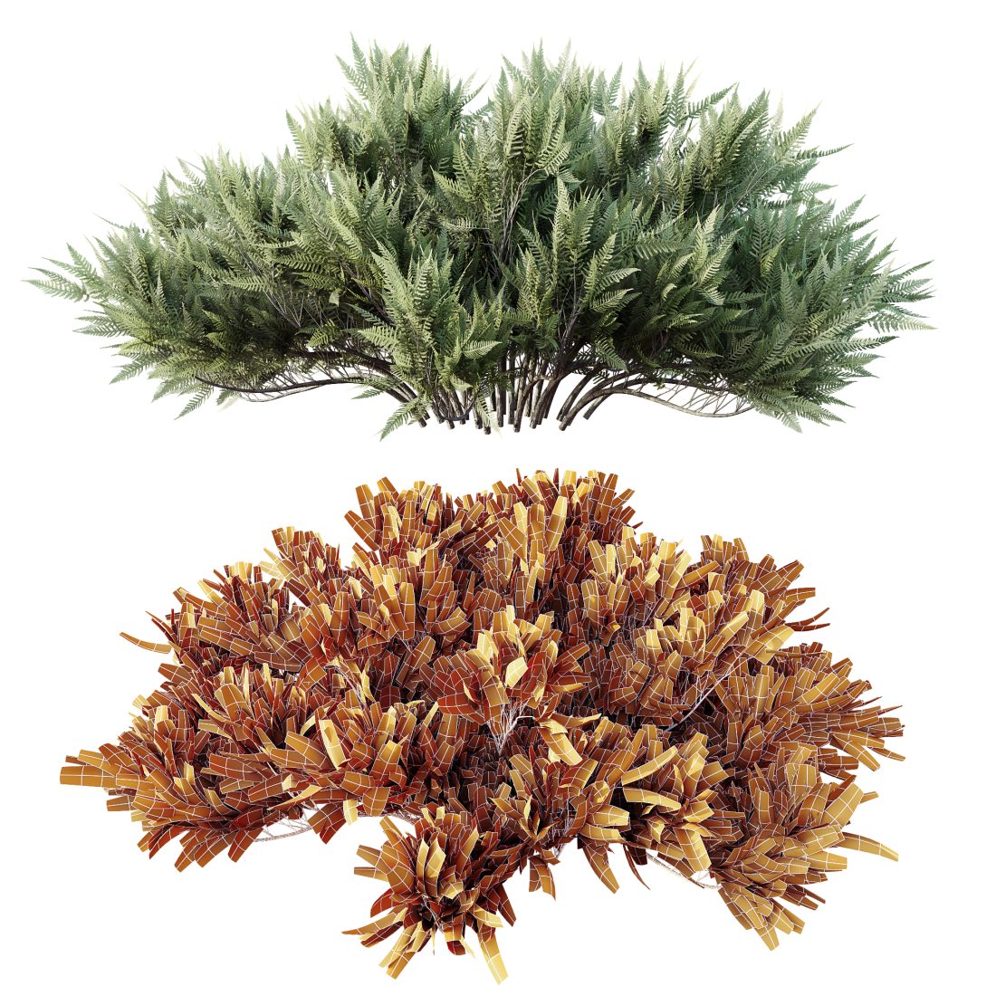 Av Plant Blue Sargent Juniper Parsoni Gallon - 3D Model for VRay, Corona