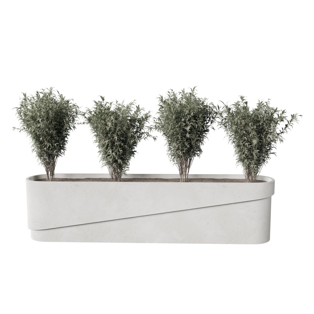 Plants Box Collection 3D Model for VRay, Corona | CGMood
