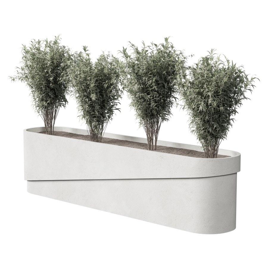 Plants Box Collection 3D Model for VRay, Corona | CGMood