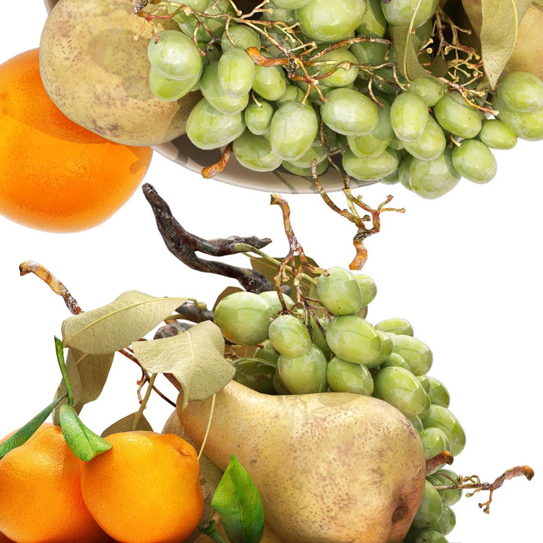 Bowl Of Pears Oranges And Green Grapes 3D Model for VRay, Corona | CGMood
