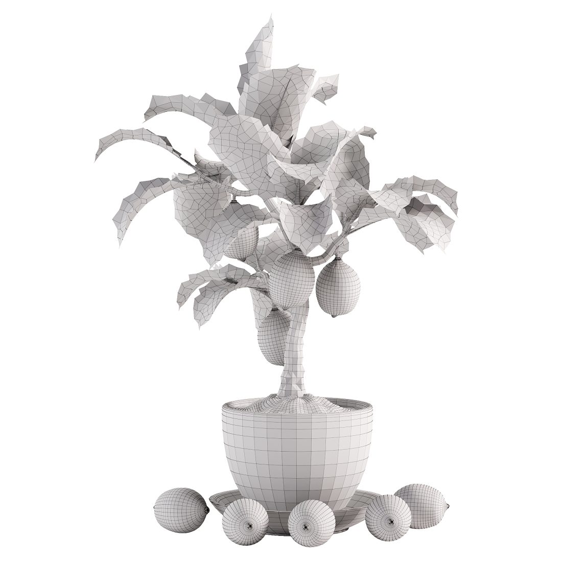Mini Lemon Tree 3D Model for Corona | CGMood