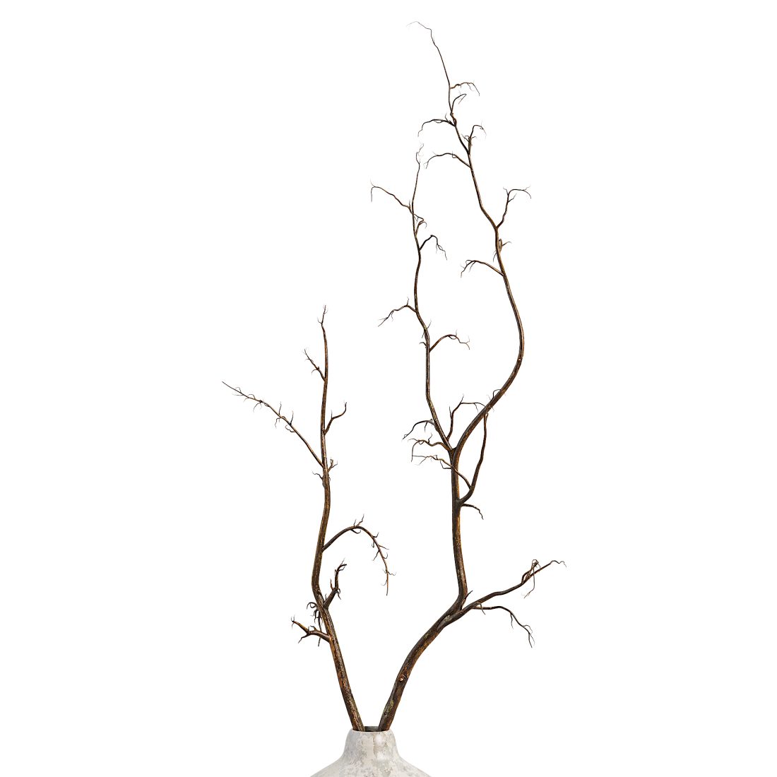 Decorative Branches 3D Model for Corona | CGMood