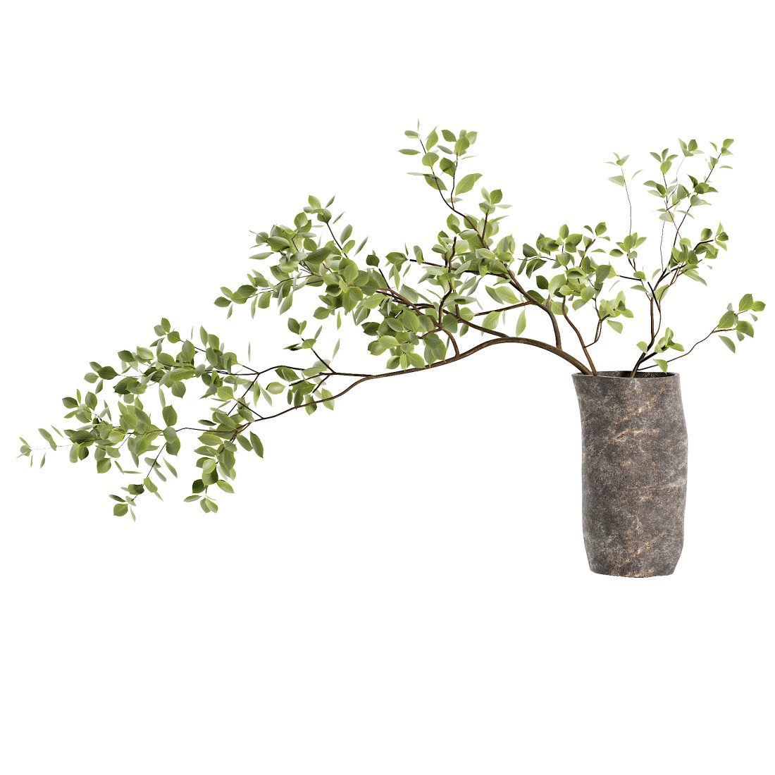 Decorative Foliage - 3D Model for Corona