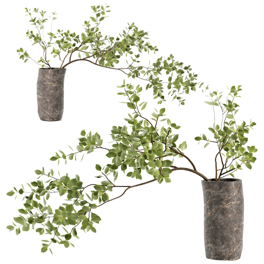 Decorative Foliage - 3D Model for Corona