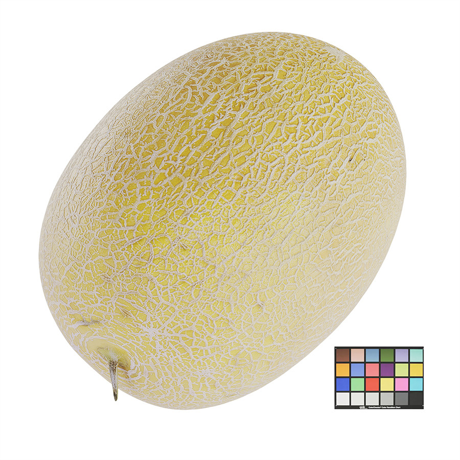Melon 3D Model for Corona | CGMood
