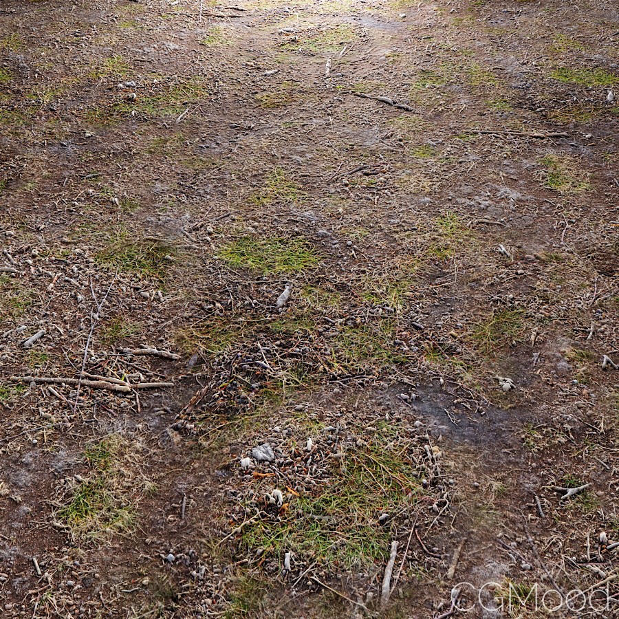 Soil 1 (seamless, PBR) - 3D Model for FStorm, Corona