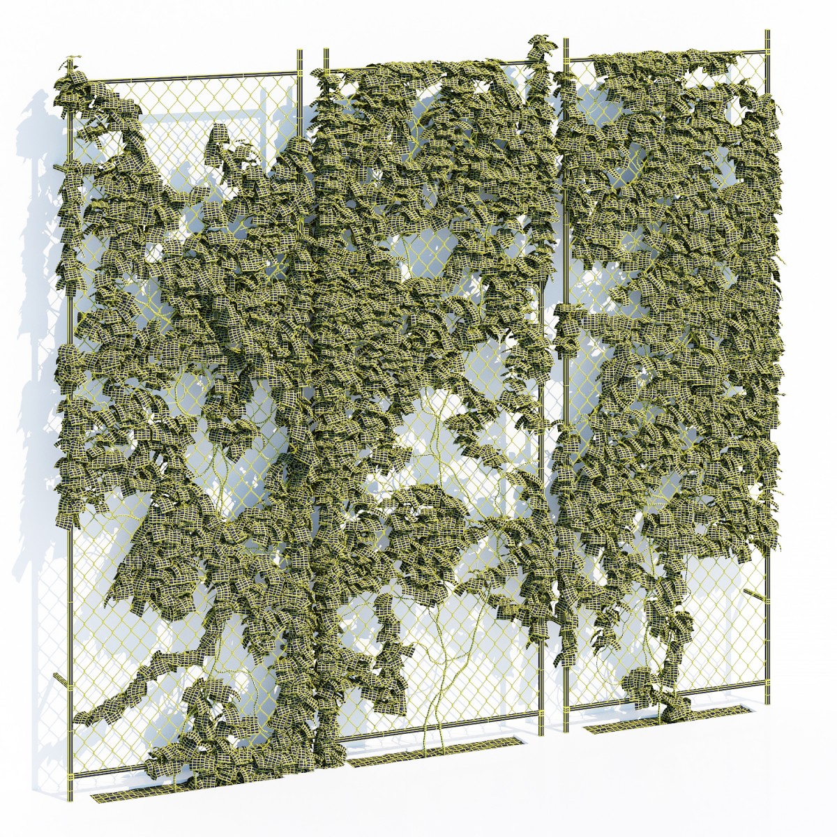 Ivy Wall - 3D Model for VRay, Corona