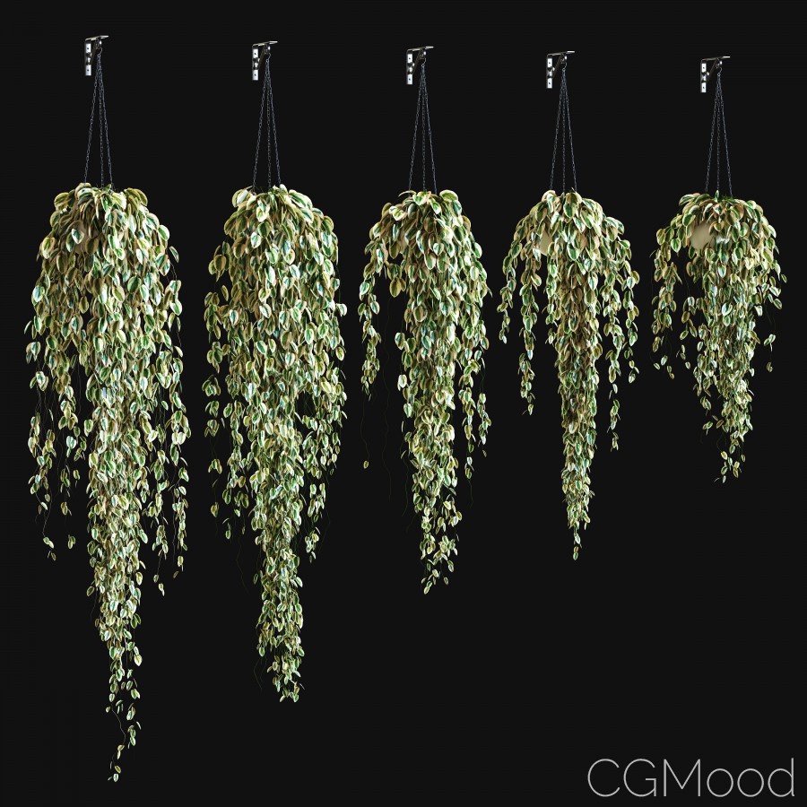 Potted Plant On A Chain 3D Model for VRay, Corona | CGMood