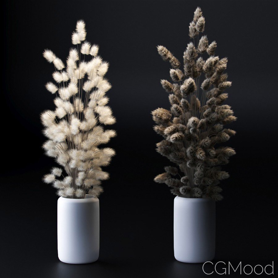 Bouquet Of Dried Flowers. 2 Models - 3D Model for Corona