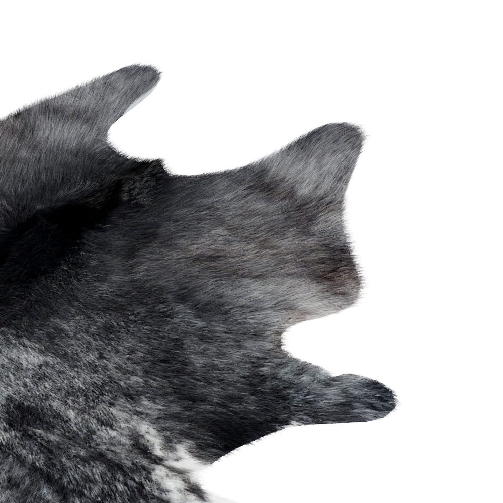 Animal Skin Rug 12 - 3D Model for VRay