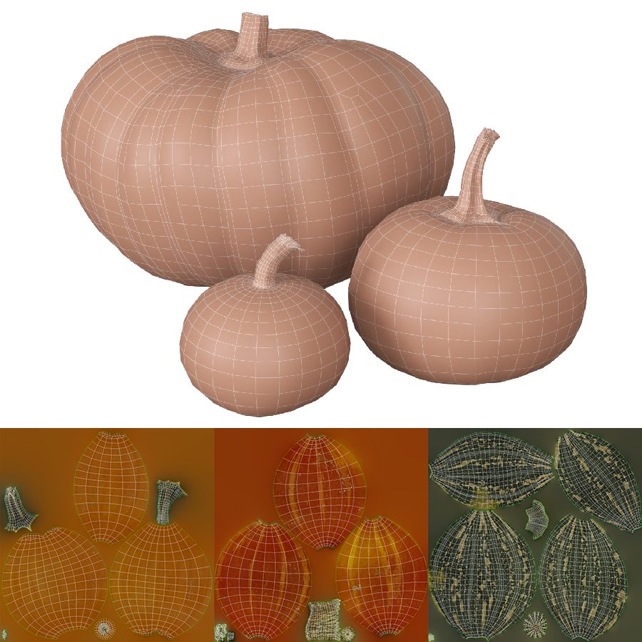 Pumpkins 3D Model for VRay, Corona | CGMood