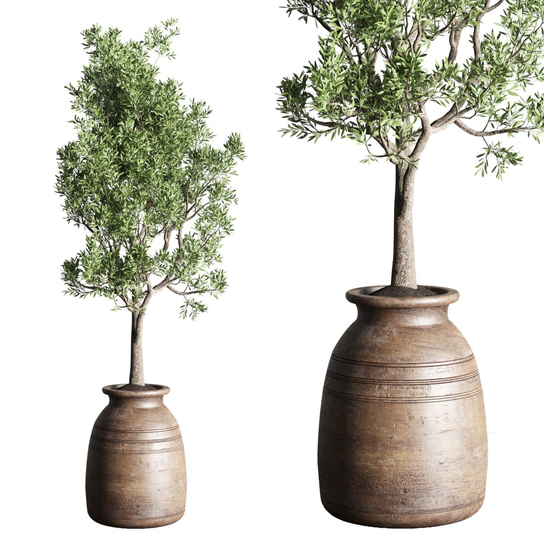 Collection Indoor Plant 151 Old Wooden Vase Tree - 3D Model for VRay ...