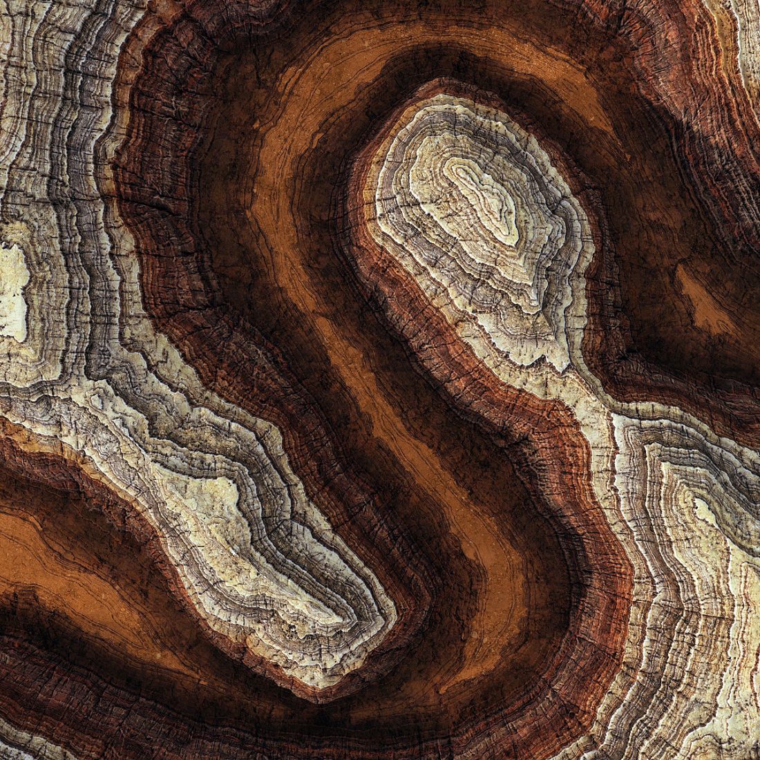 Canyon River N3 3D Model for VRay, Corona | CGMood