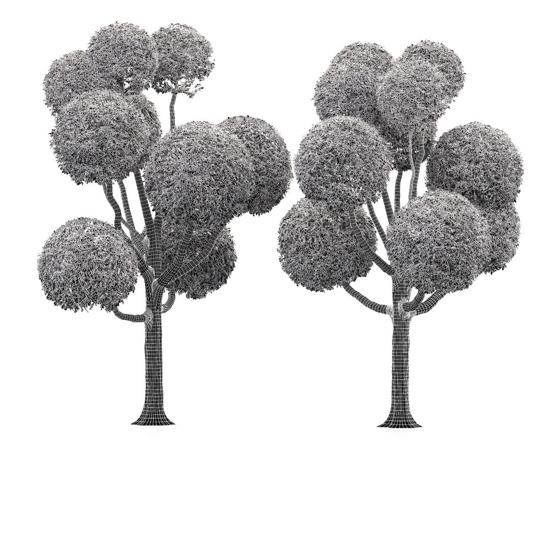 Fancy Shaped Decorative Tree - 3D Model for VRay, Corona