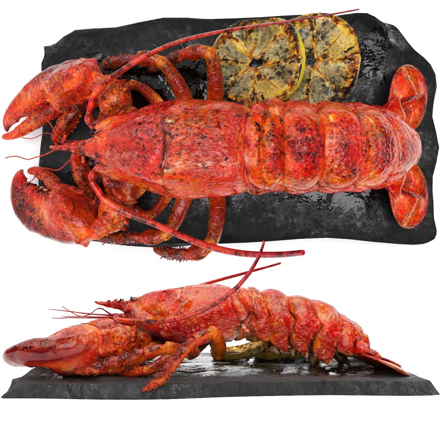 Lobster Set 3D Model for VRay, Corona | CGMood