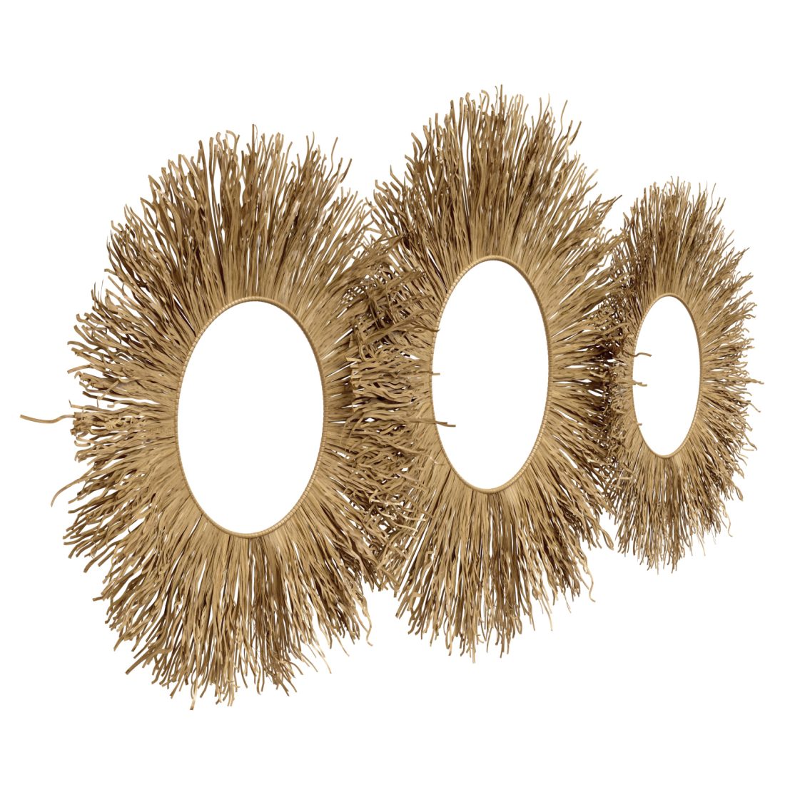 Designer Wall Round Rafia Hanging Decor - 3D Model for VRay