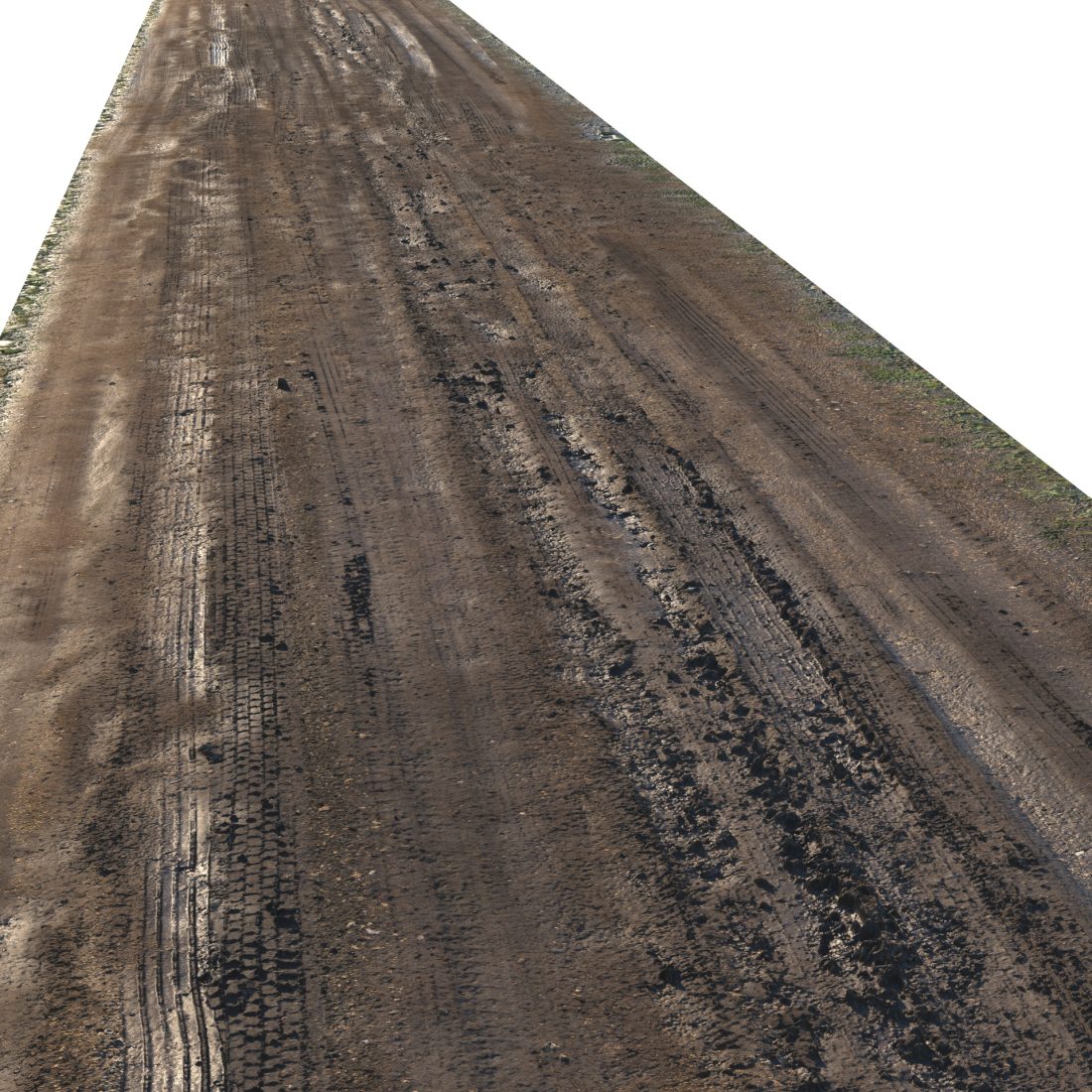16k Forest Road Material 08 - 20 Meters - 3D Model for VRay, Corona