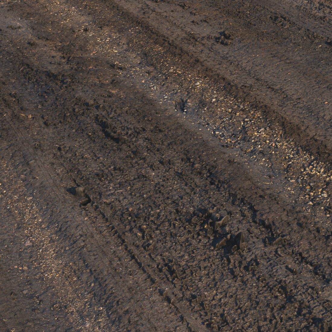 16k Forest Road Material 08 - 20 Meters - 3D Model for VRay, Corona