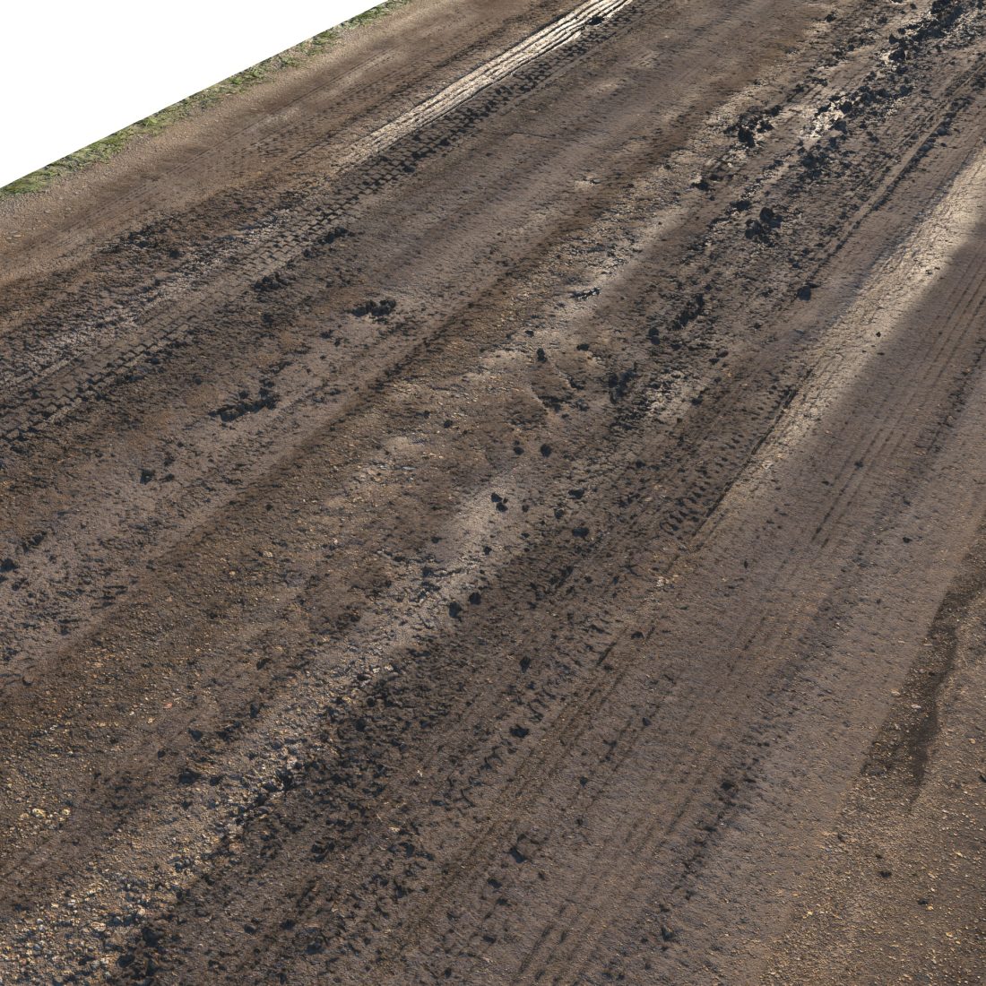 16k Forest Road Material 08 - 20 Meters - 3D Model for VRay, Corona