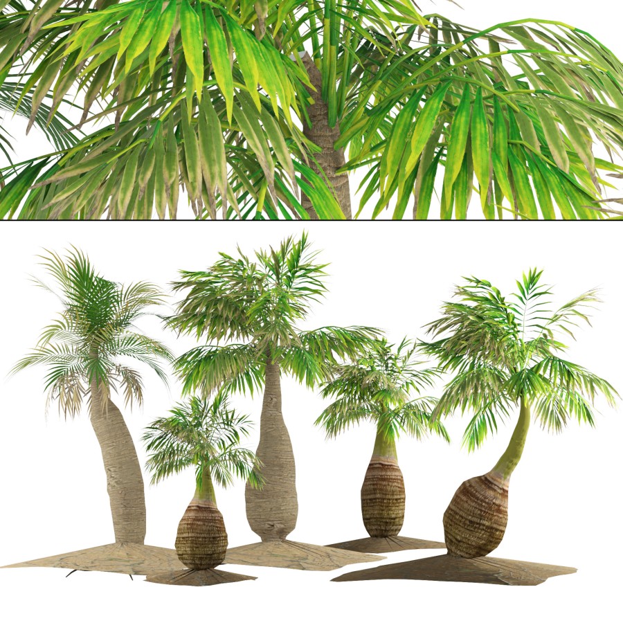 Low Poly Bottle Palm Trees 3d Model - 3D Model for VRay, Corona