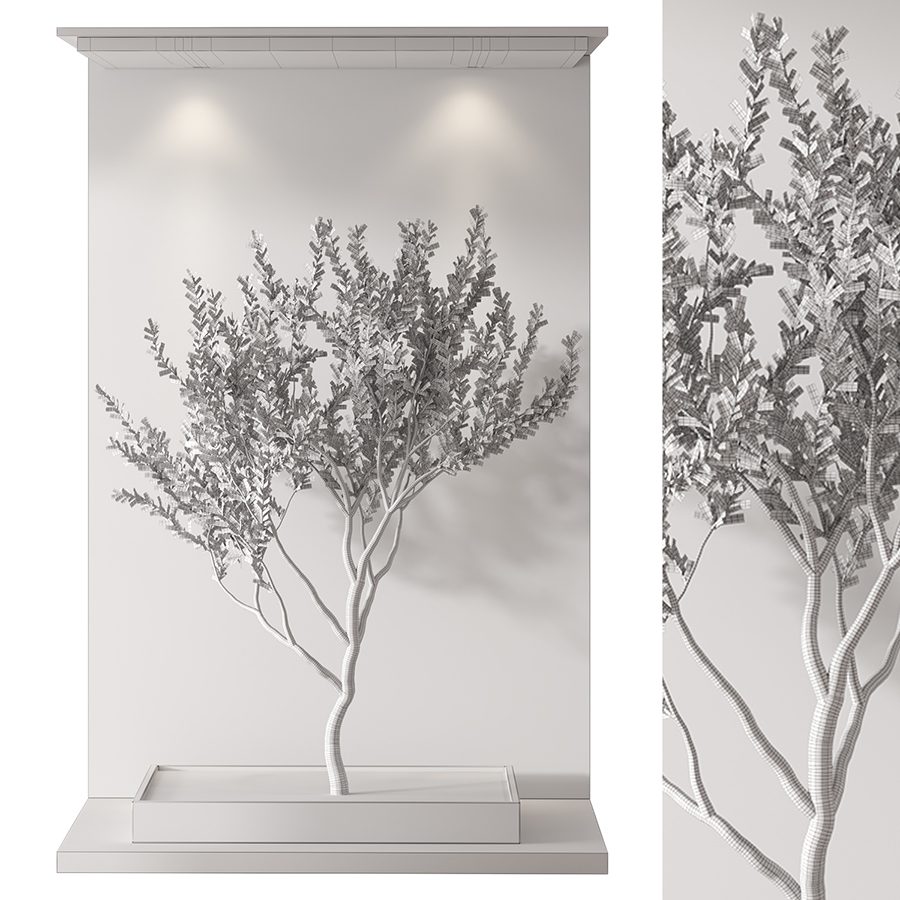 Inside Big Tree - 3D Model for VRay, Corona