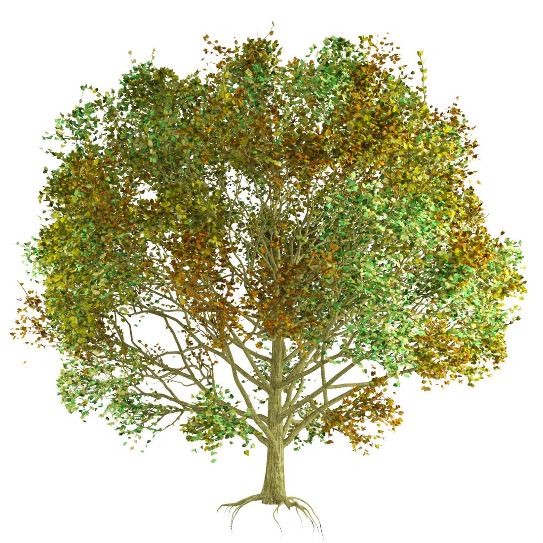 Colorful Trees 3d Models - 3D Model for VRay, Corona