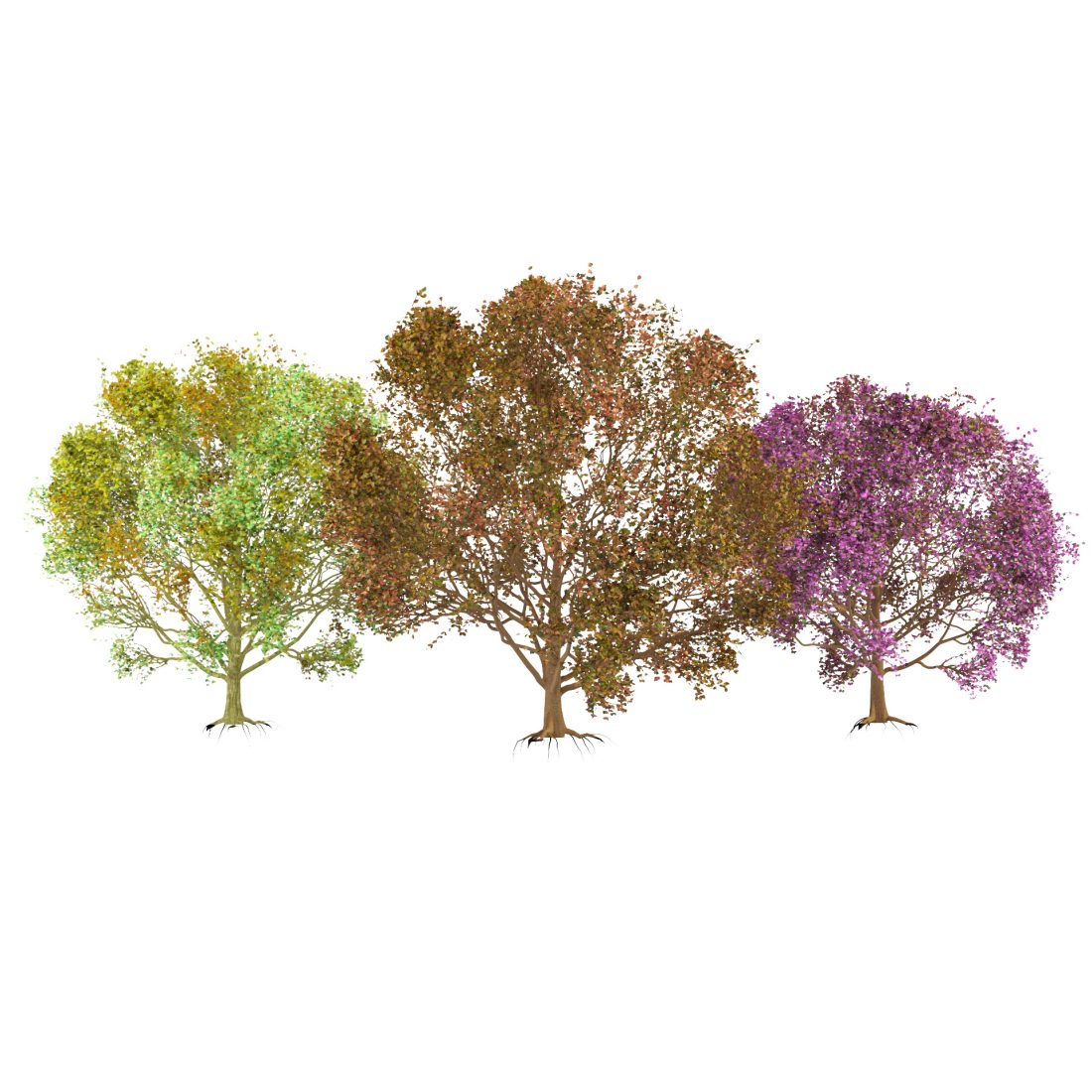 Colorful Trees 3d Models - 3D Model for VRay, Corona
