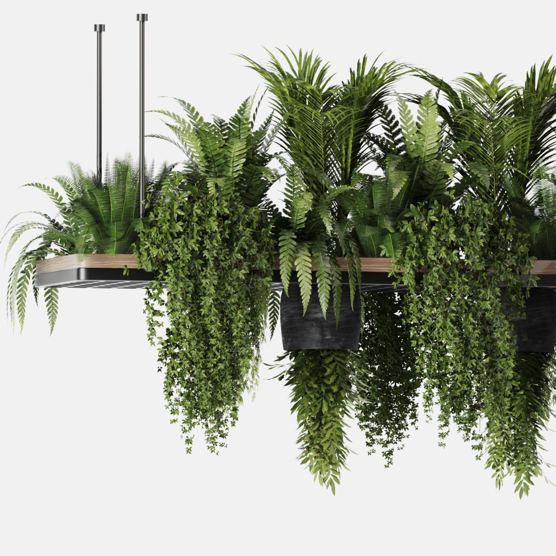Indoorplants- Hanging Plants - Set60 3D Model for VRay, Corona | CGMood