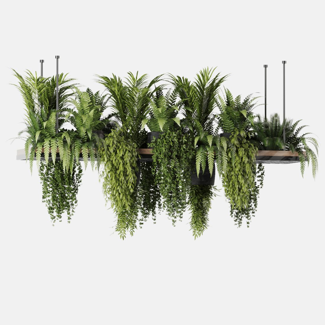 Indoorplants- Hanging Plants - Set60 3D Model for VRay, Corona | CGMood