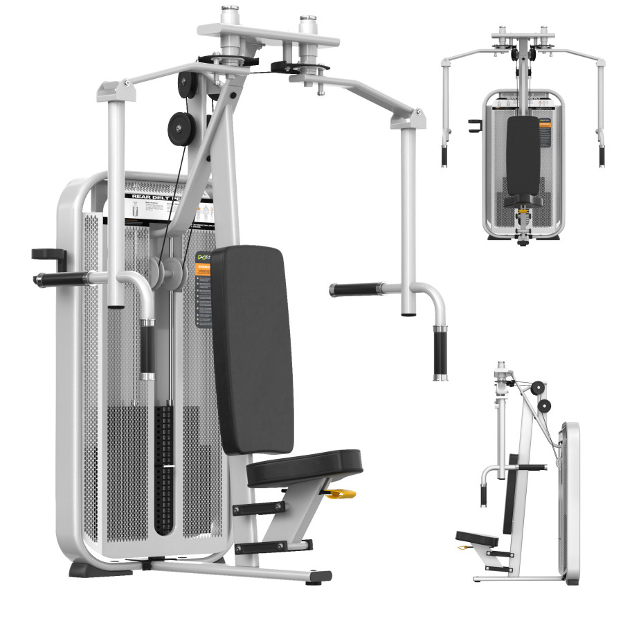 E7007 Dual Rear Delt Pec Fly Dhz Fitness Equipment 3D Model for VRay ...