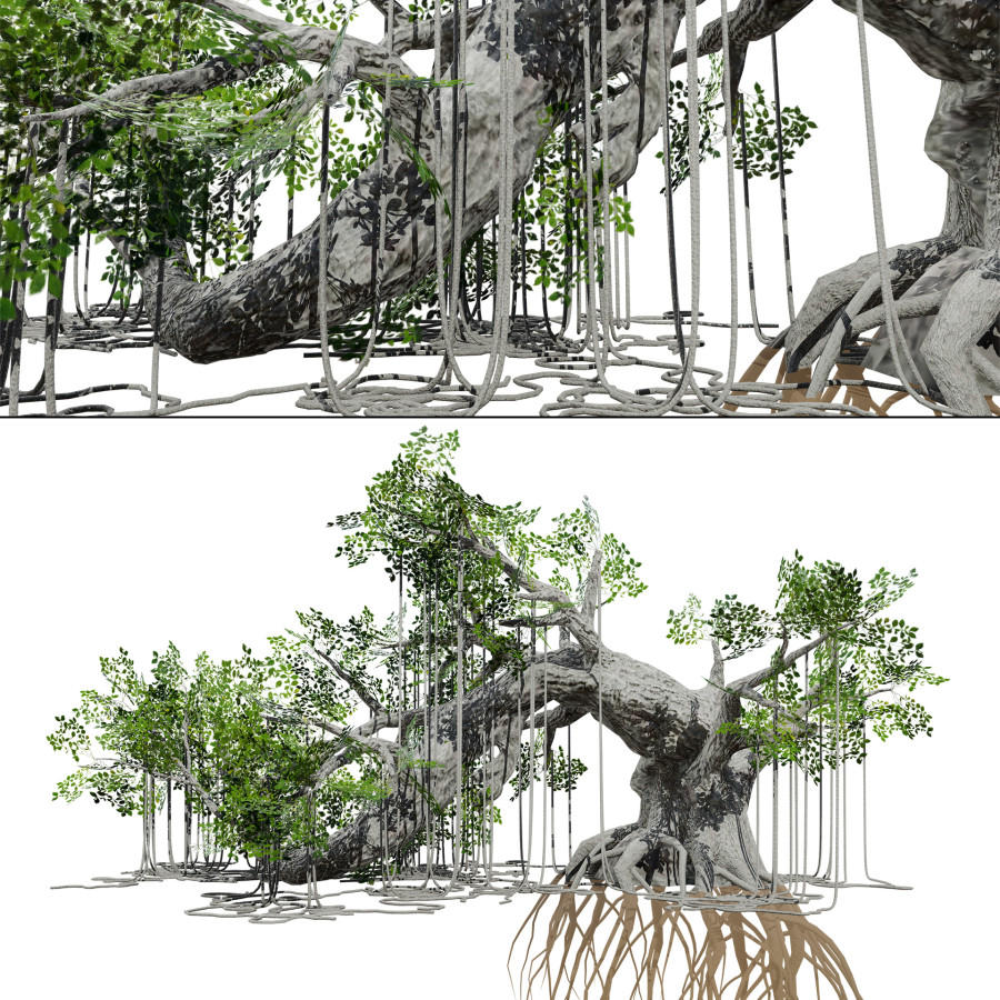 Rigged Jungle Tree 3d Model 3D Model for VRay, Corona | CGMood