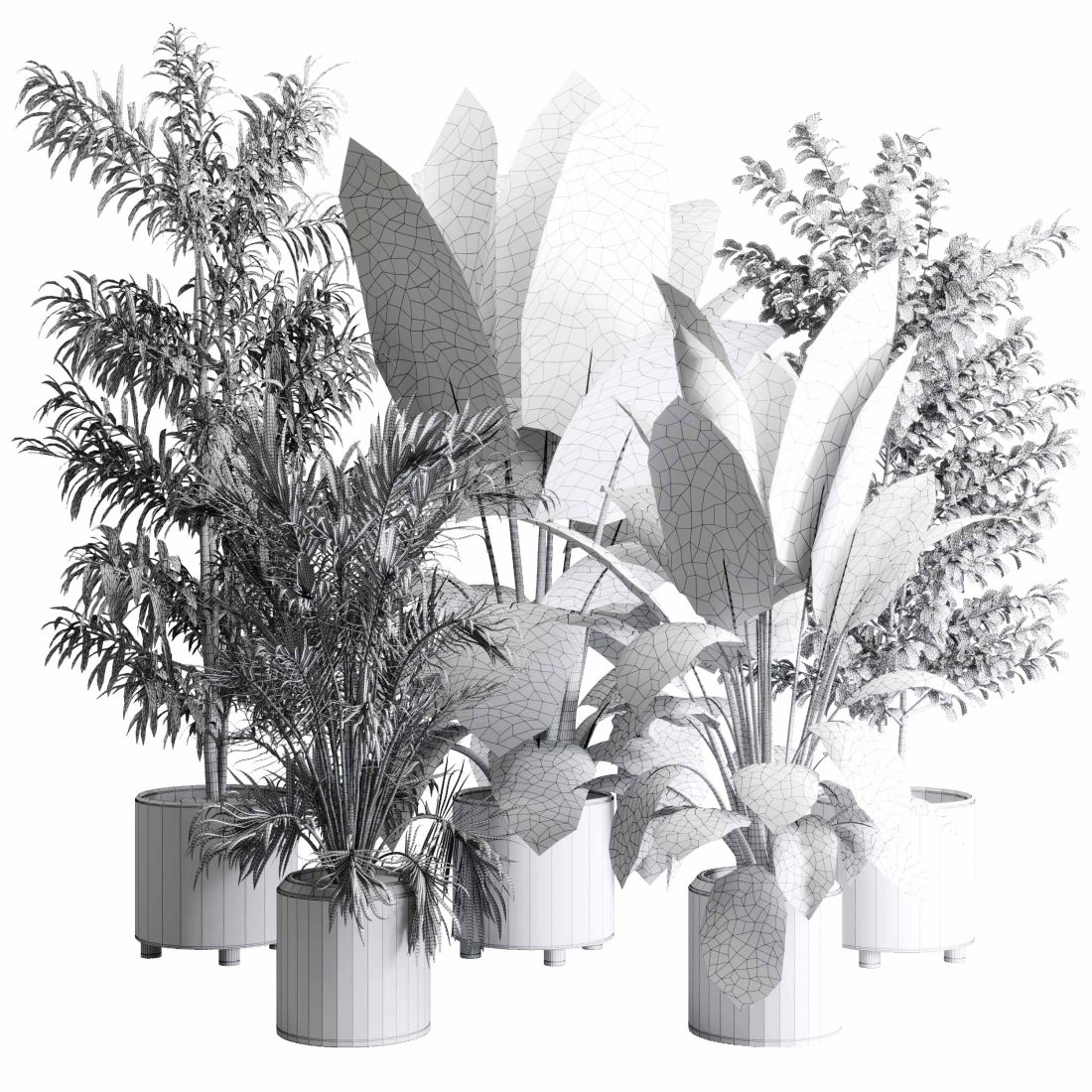 Tree Plant In A Patterned Clay Vase And Marble - - 3D Model for VRay ...