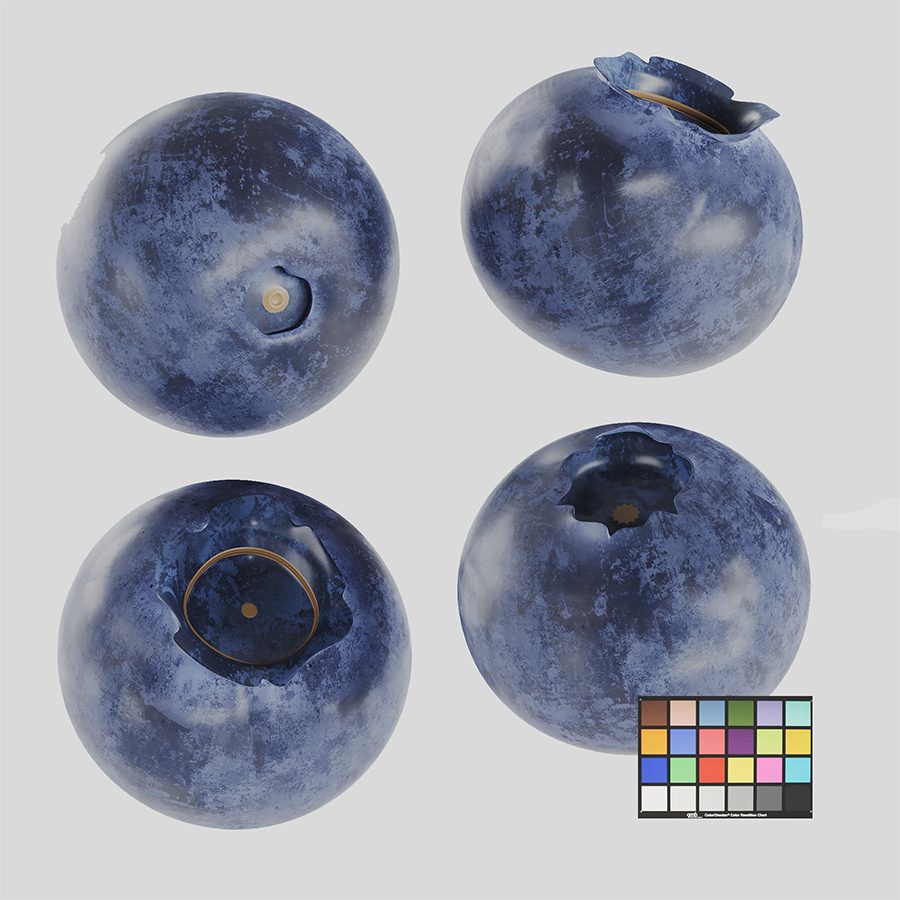 Blueberries - 3D Model for Corona