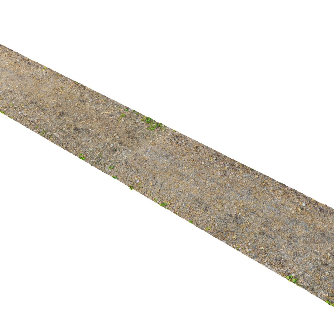 Coniferous Park Path 01. 10 Meters Texture / PBR Material | CGMood