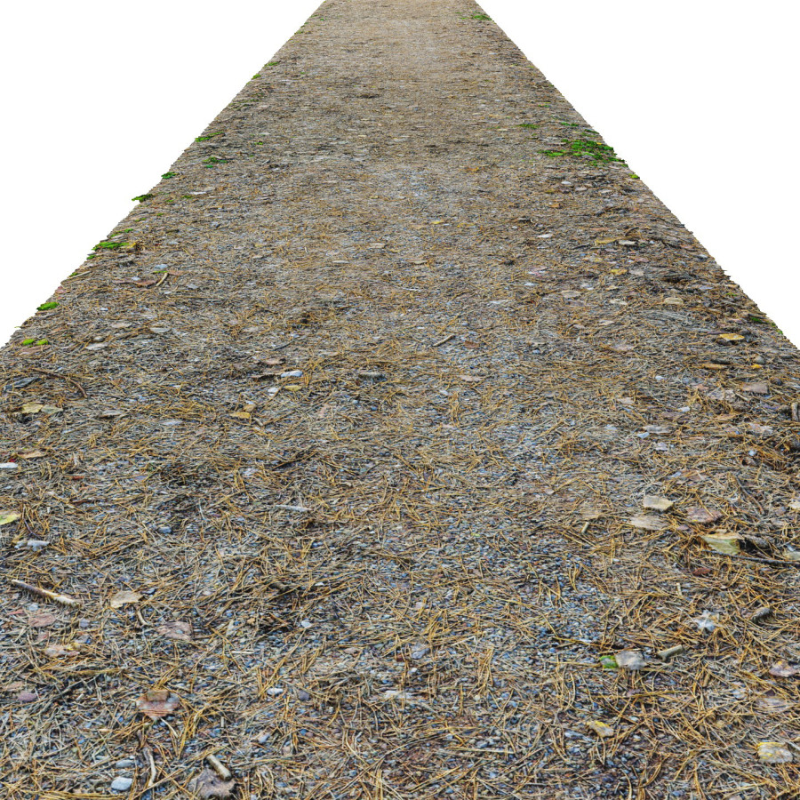 Coniferous Park Path 01. 10 Meters Texture / PBR Material | CGMood