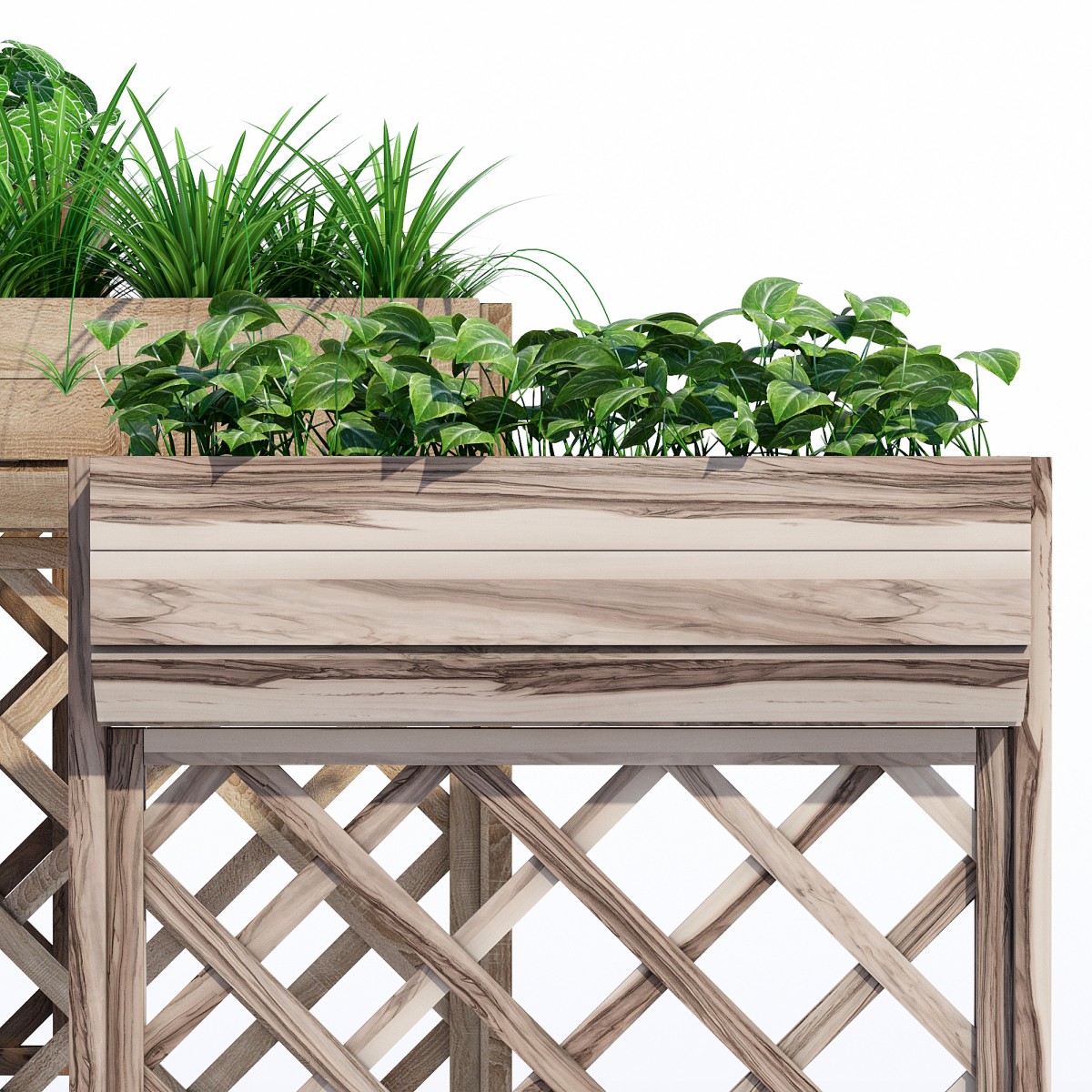 Raised Planter Box 3D Model for VRay, Corona | CGMood