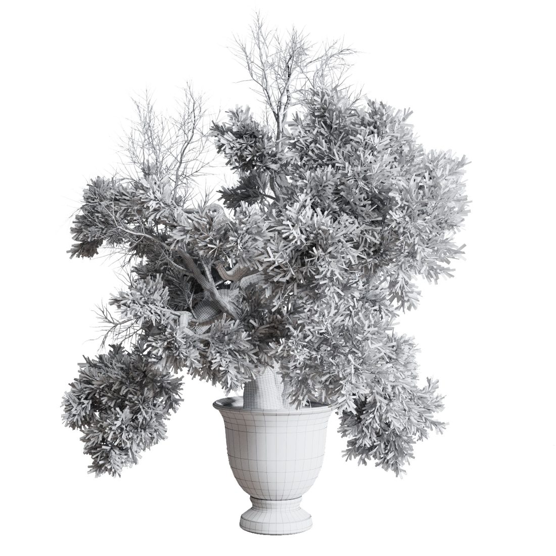 Old Olive Tree In Dirty Concrete Pot Outdoor Plant - 3D Model for VRay ...