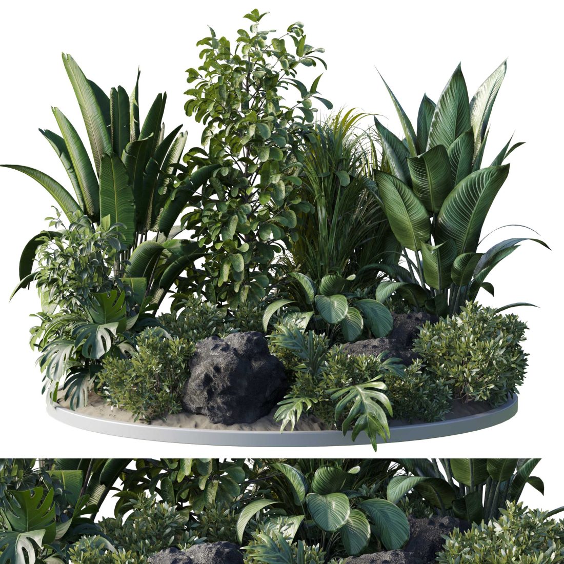 Garden Plants Outdoor Plant Collection 132 3D Model for VRay, Corona ...