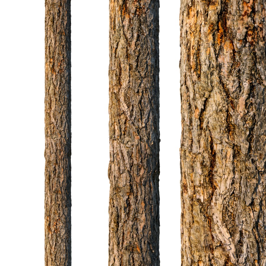 4k Larch Bark Material 01 - 3D Model for VRay, Corona