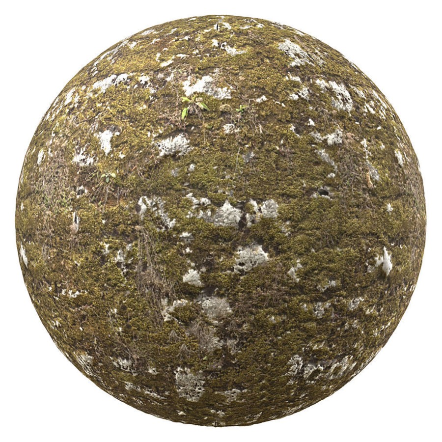 Moss Texture Texture / PBR Material | CGMood