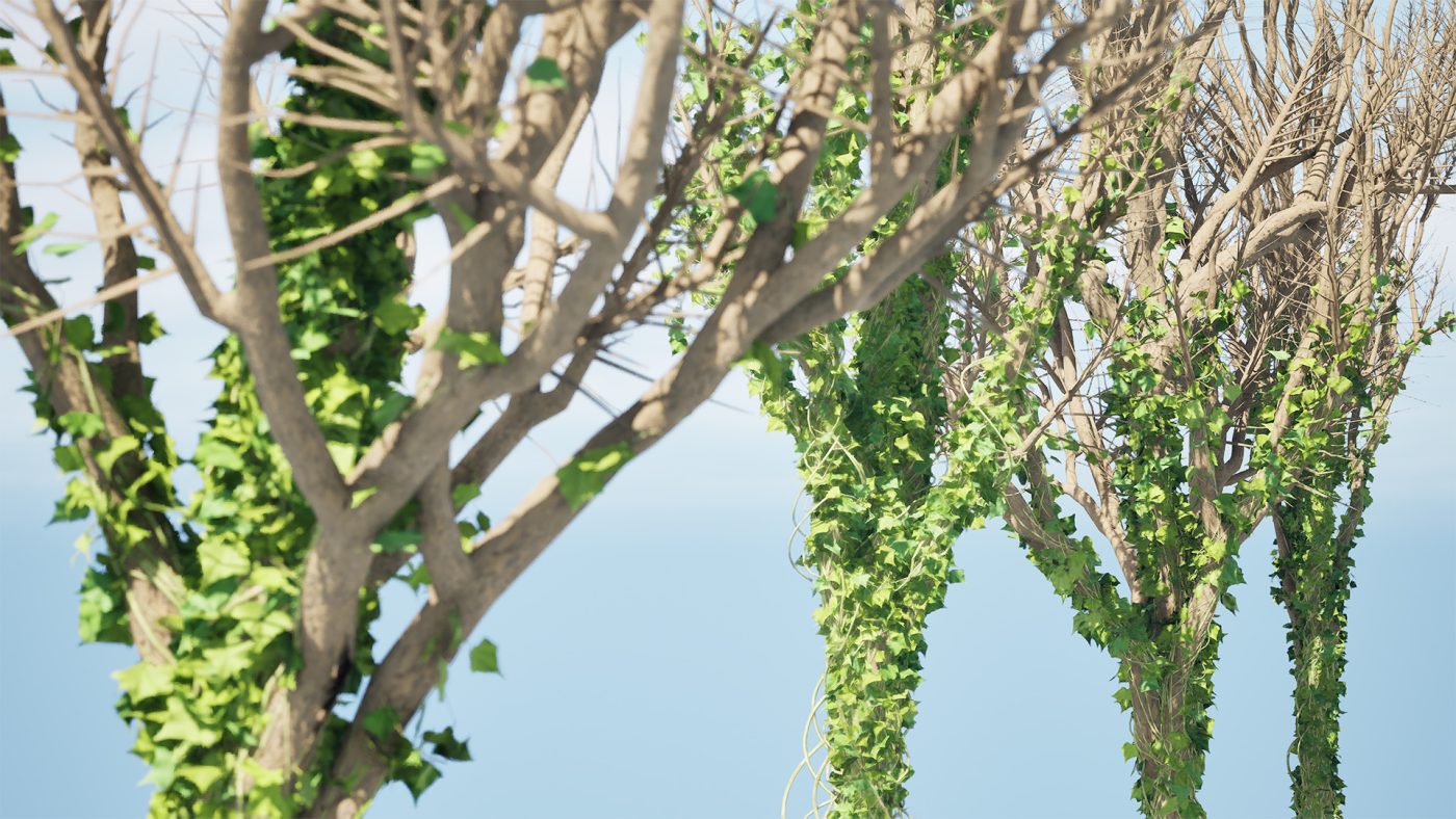 Ivy Climber On Winter Trees - 3D Model for VRay, Corona